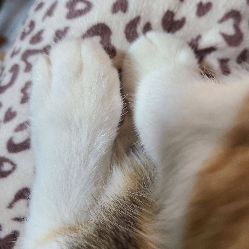 조토 (@giotto) 님의 게시물 | KREAM