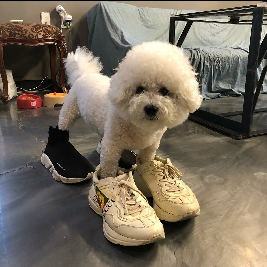 빼꼼맘 (@young_na89) 님의 게시물 | KREAM