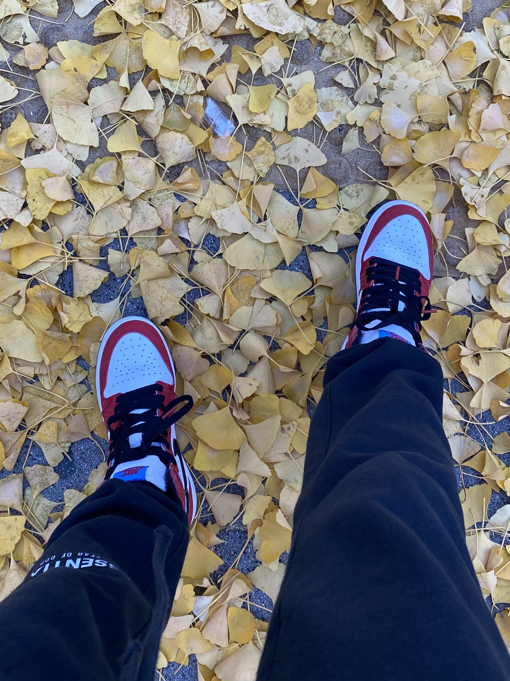 박수빈 (@shoebeanie) 님의 게시물 | KREAM