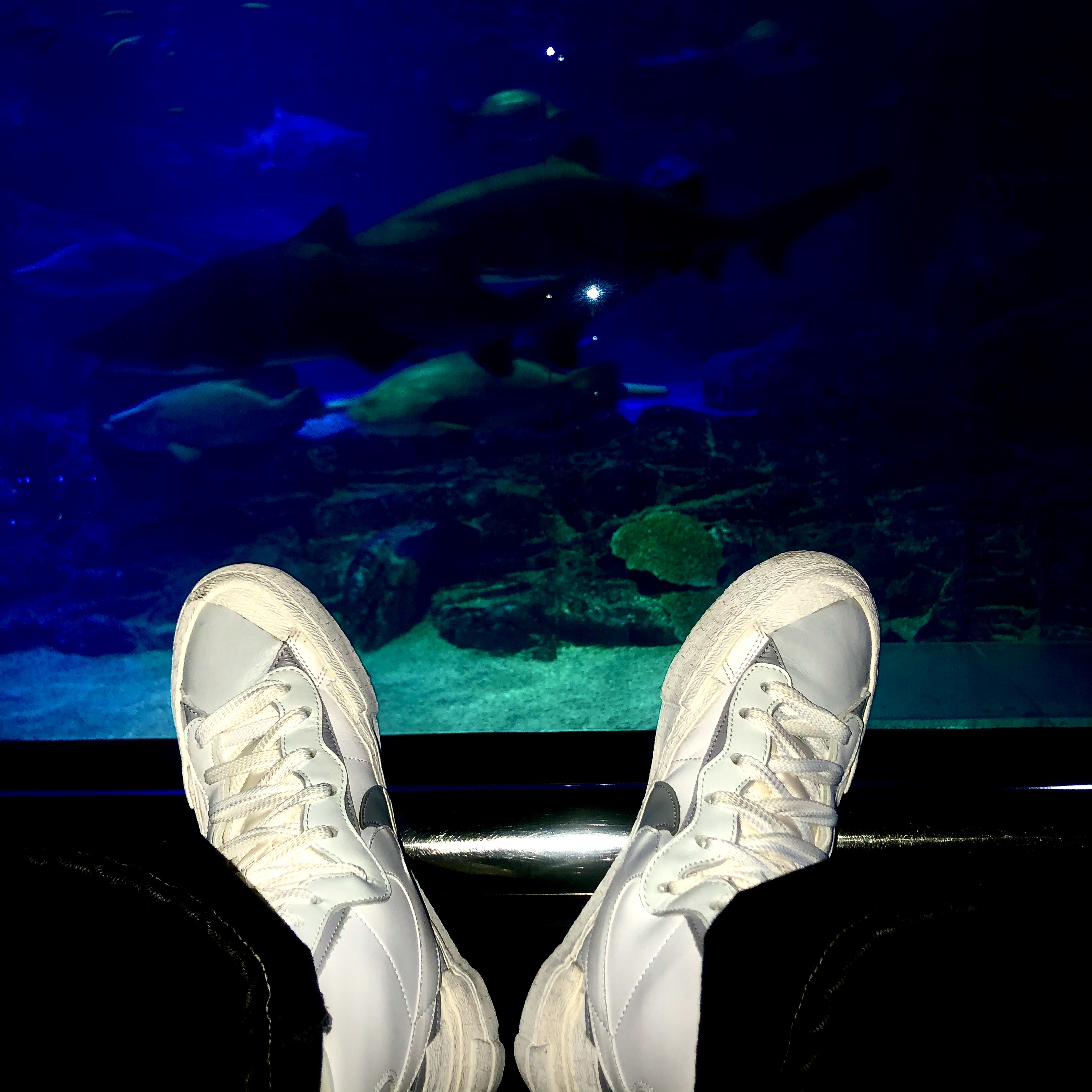 토니토니쵸파 (@chopper) 님의 게시물 | KREAM