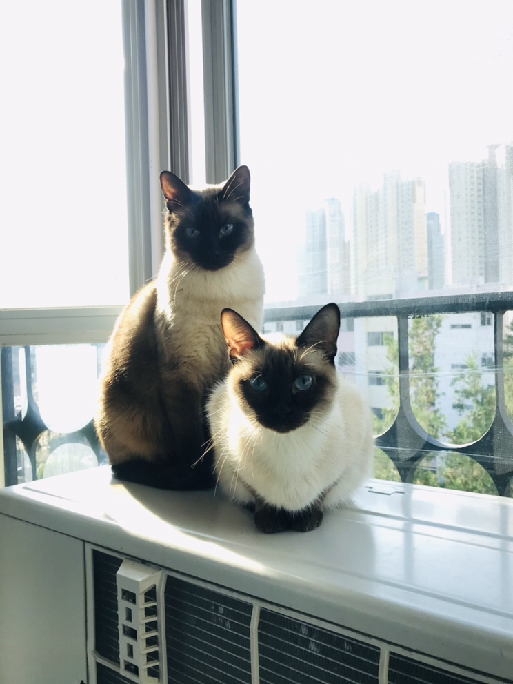 보성녹차 (@290_310) 님의 게시물 | KREAM