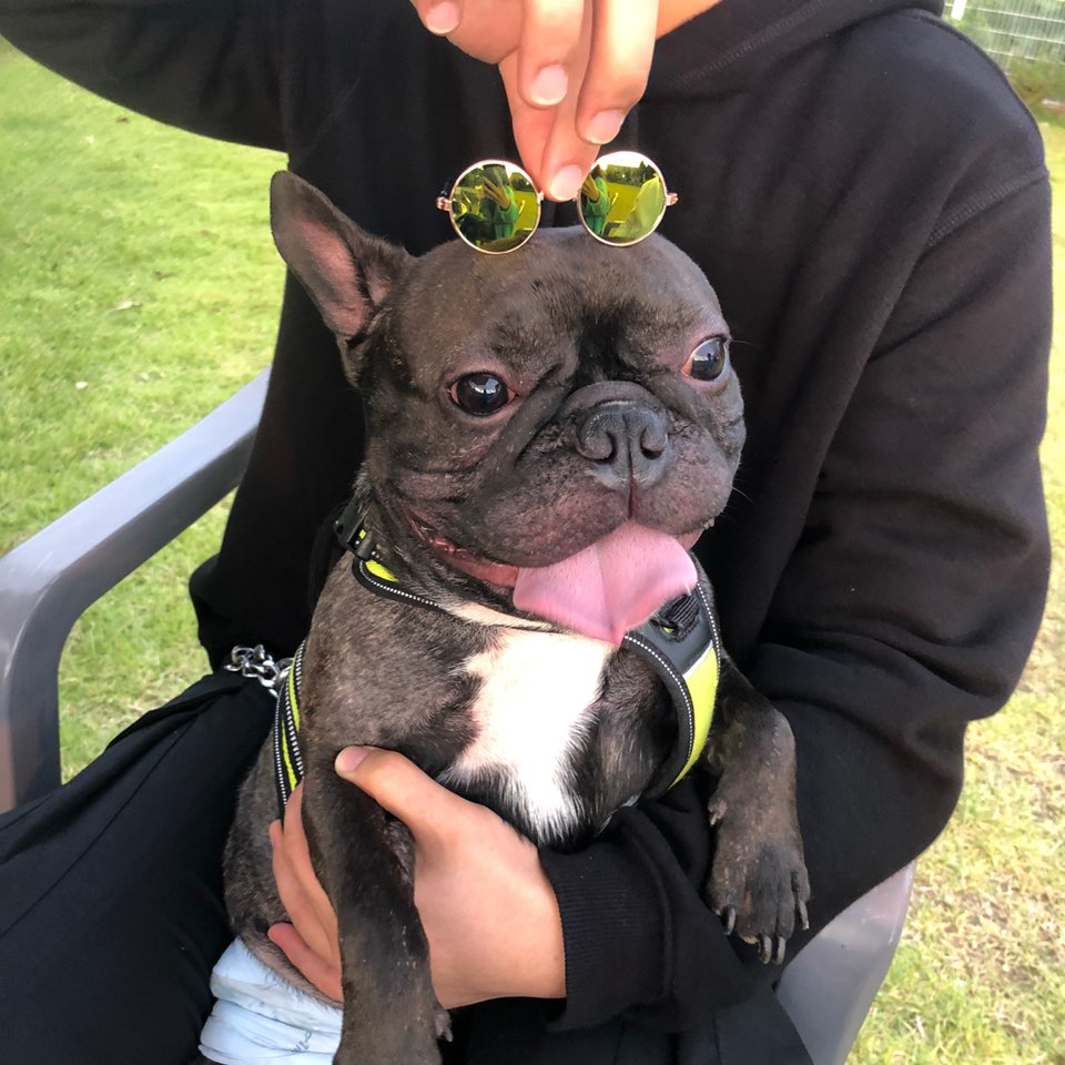 265@ (@wook94) 님의 게시물 | KREAM