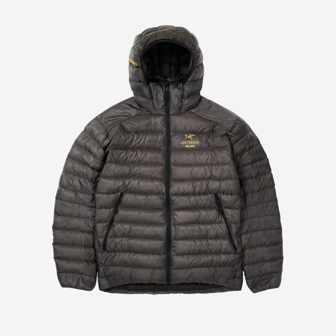 팔라스 x 아크테릭스 세륨 LT 후드 - 20FW | Palace | KREAM