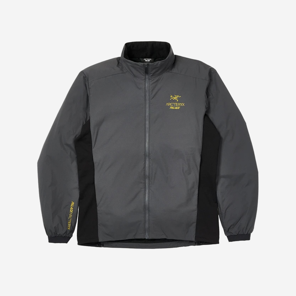 팔라스 x 아크테릭스 LT 자켓 - 20FW | Palace | KREAM