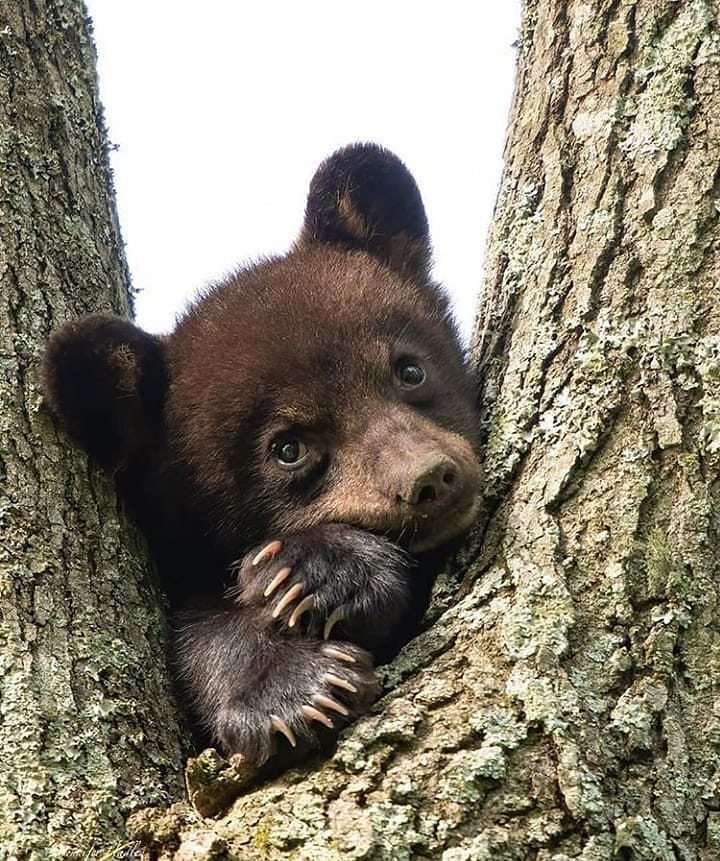 개돼탈프 (@h_joon2) 님의 게시물 | KREAM