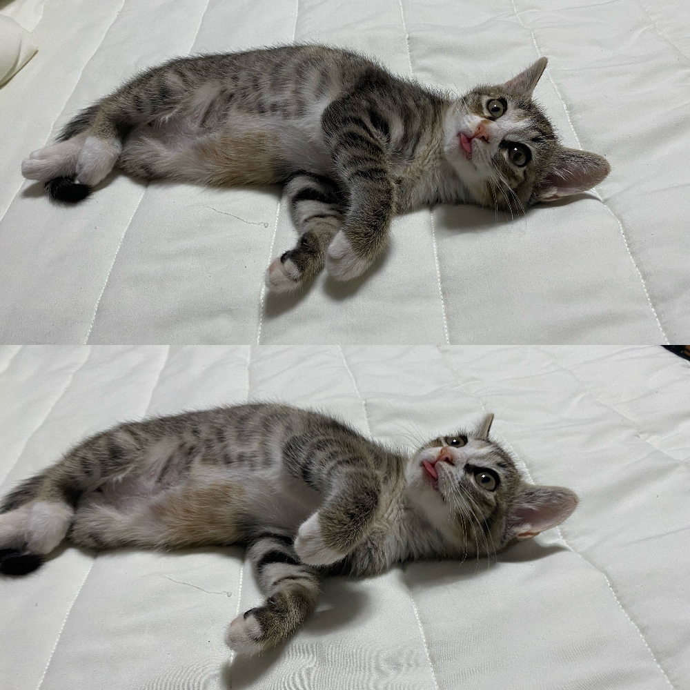 sahaeng12 (@harang_) 님의 게시물 | KREAM