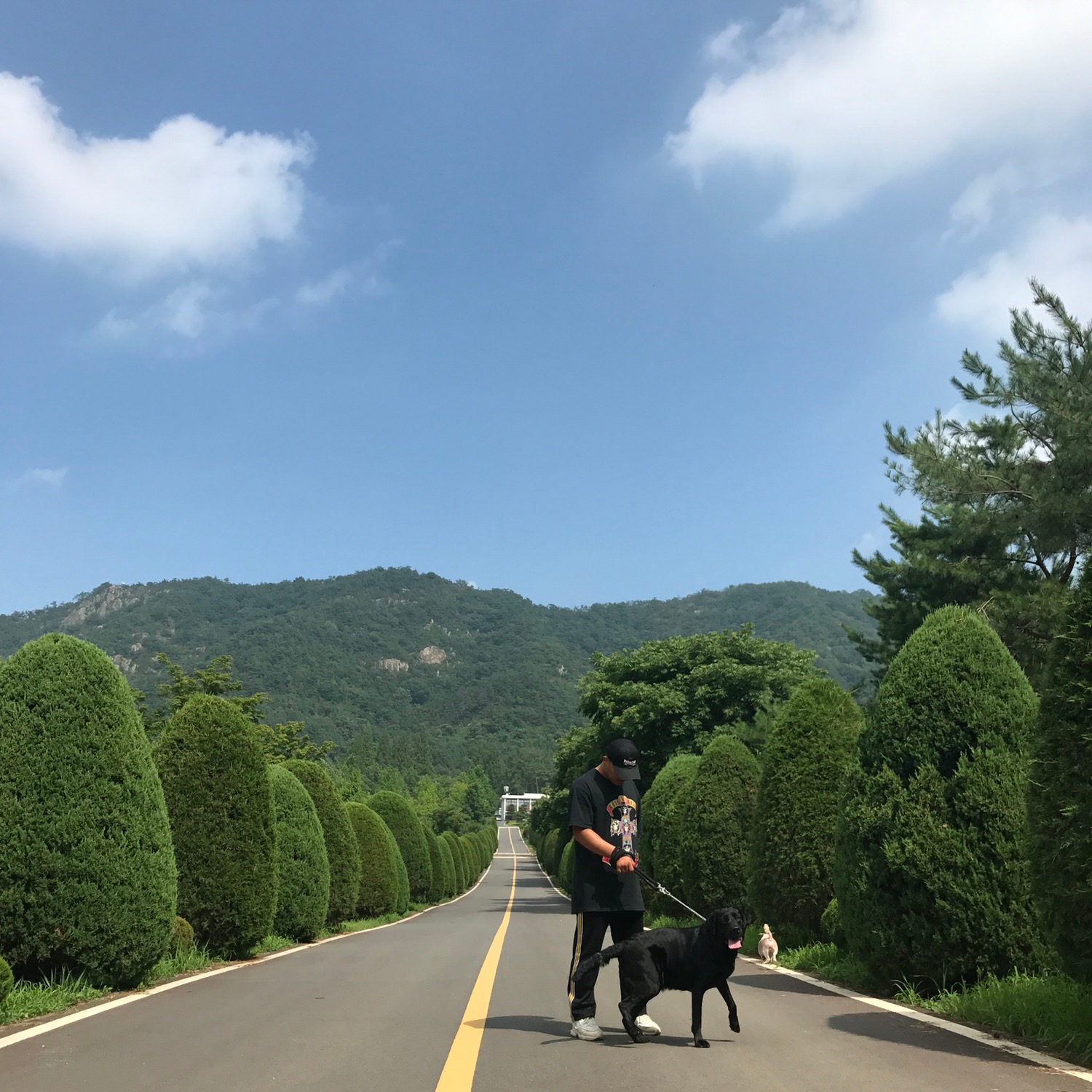 정섭킴 (@sub.kim_j) 님의 게시물 | KREAM