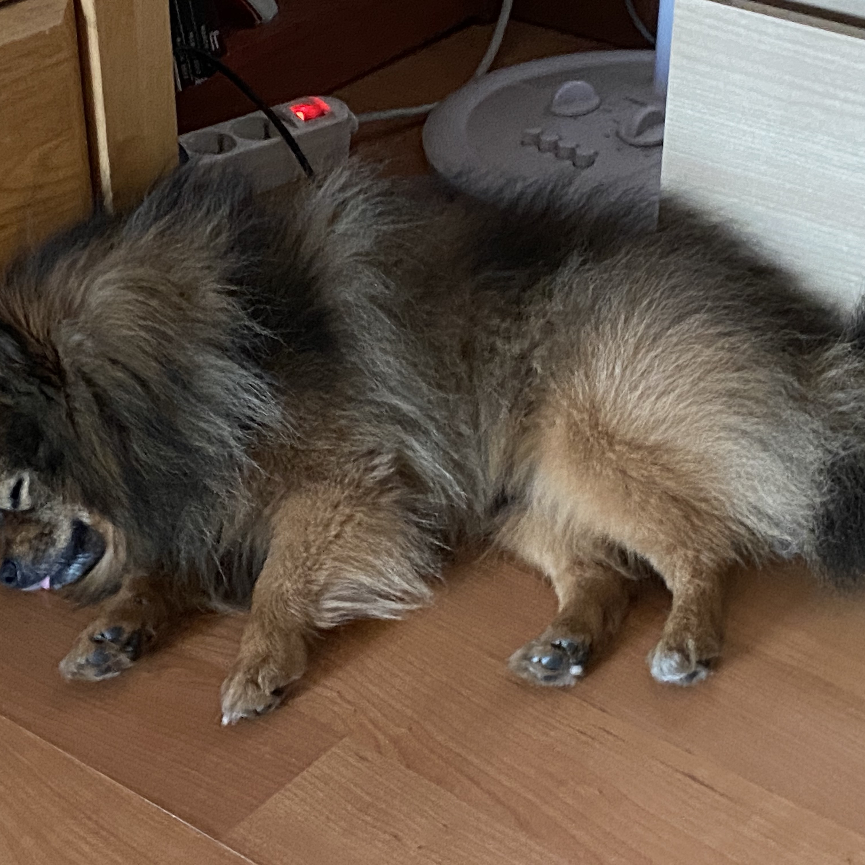 pok2345 (@doovoo) 님의 게시물 | KREAM