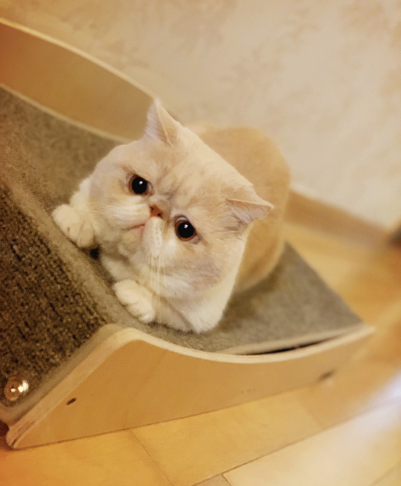 eunjiqueen (@limstadohee) 님의 게시물 | KREAM