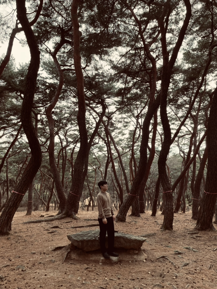 hoyyoou328 (@shoow) 님의 게시물 | KREAM