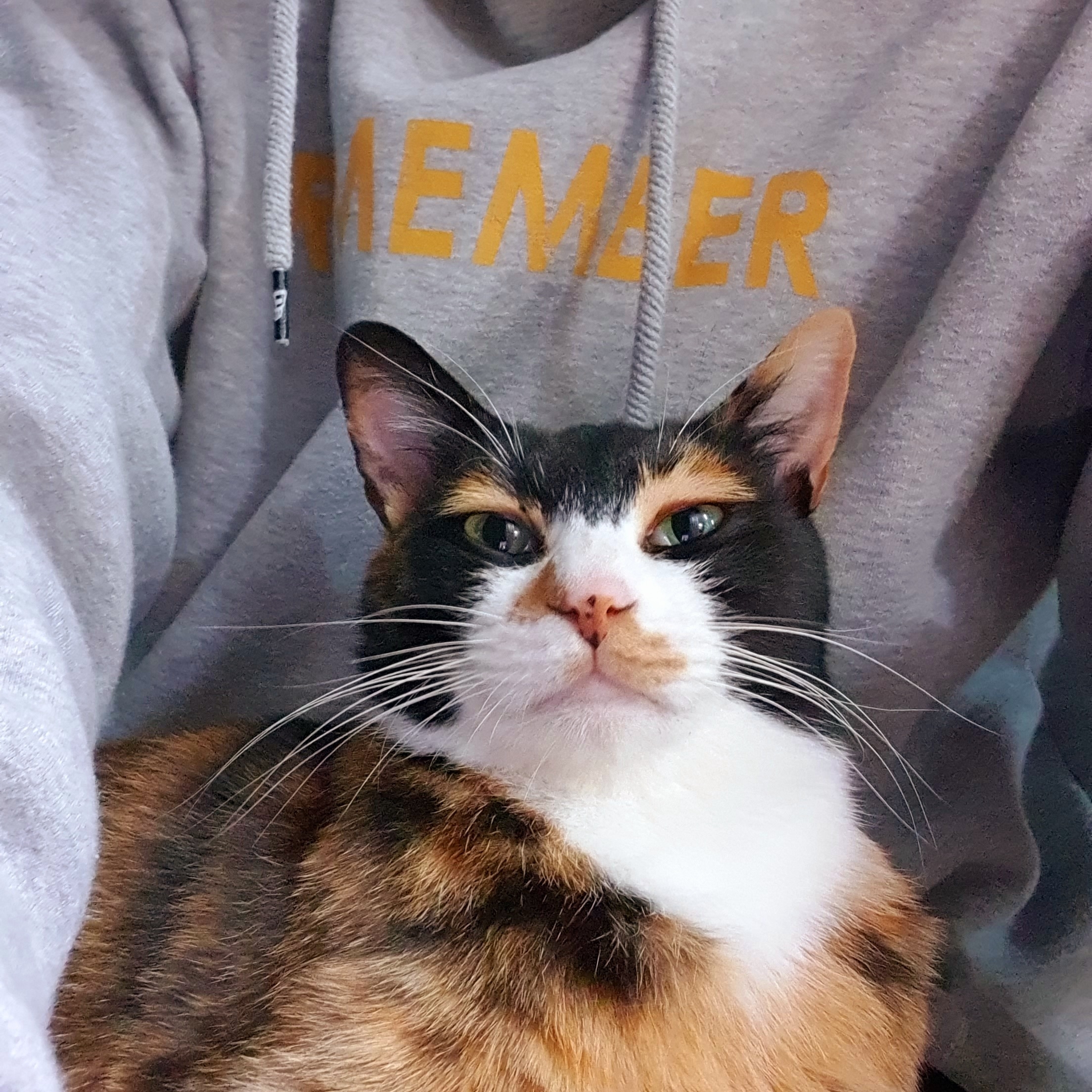 selly (@happycat_selly) 님의 게시물 | KREAM