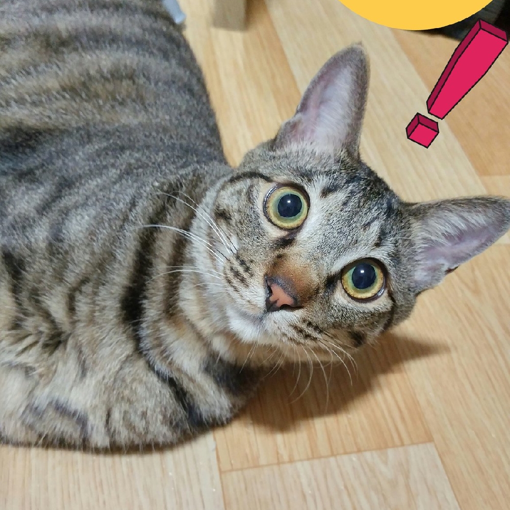 Alex (@artphilo) 님의 게시물 | KREAM