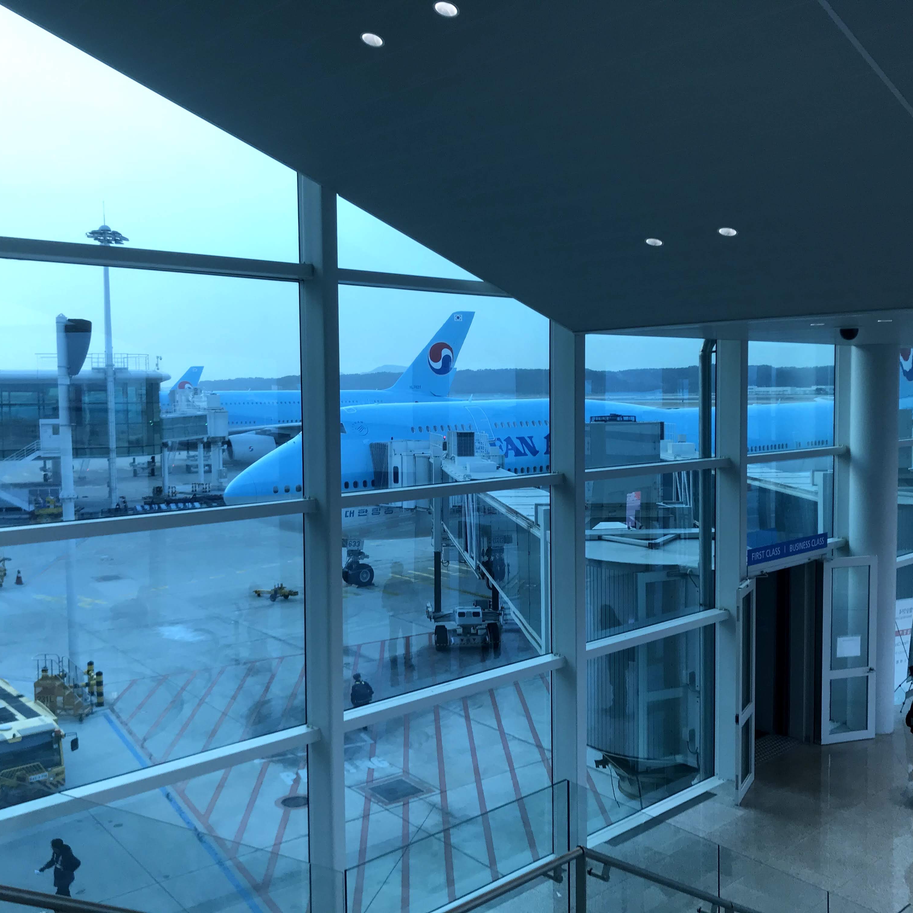 🥇 (@dabama) 님의 게시물 | KREAM