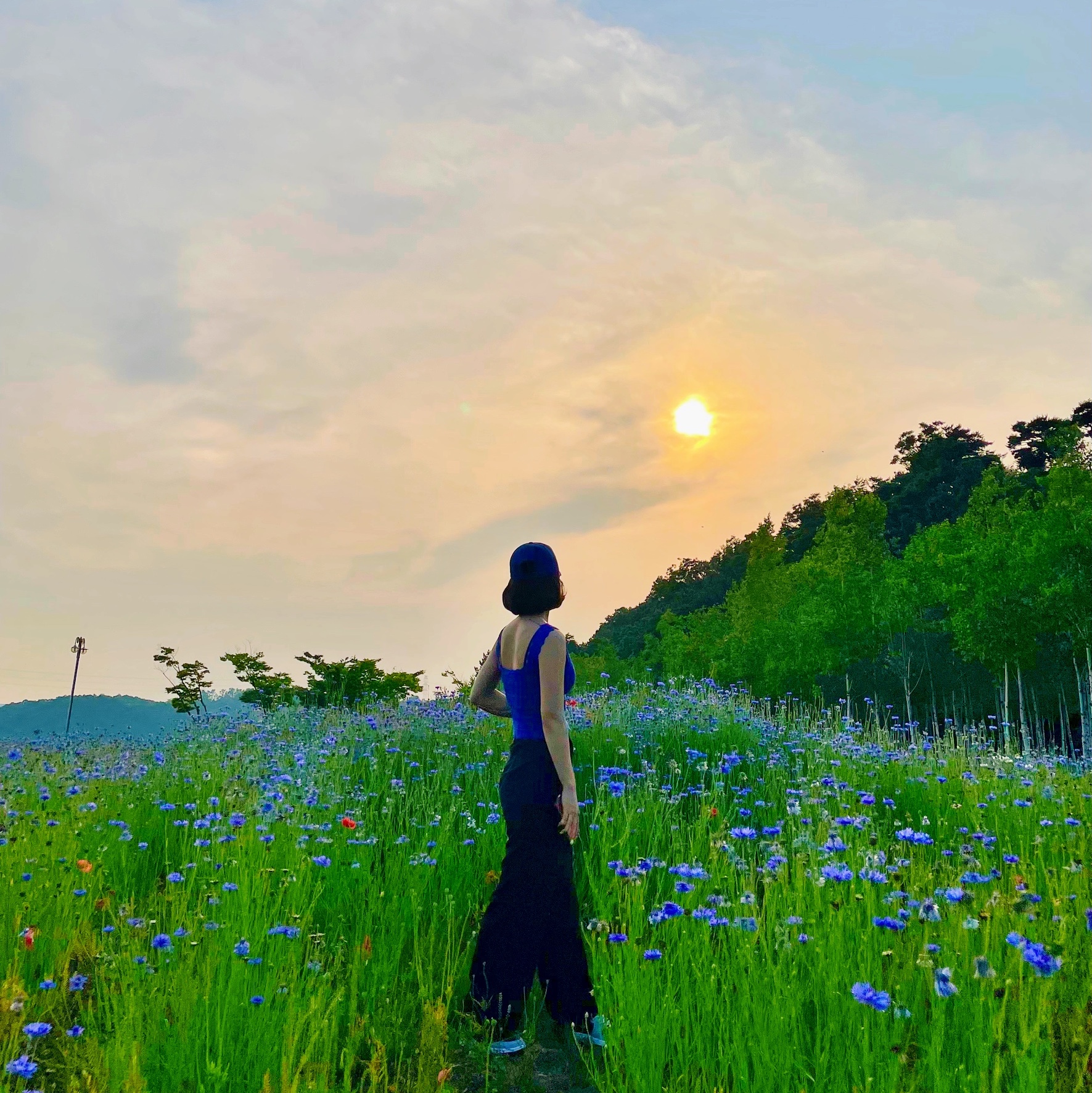 🐣 (@min_i22) 님의 게시물 | KREAM