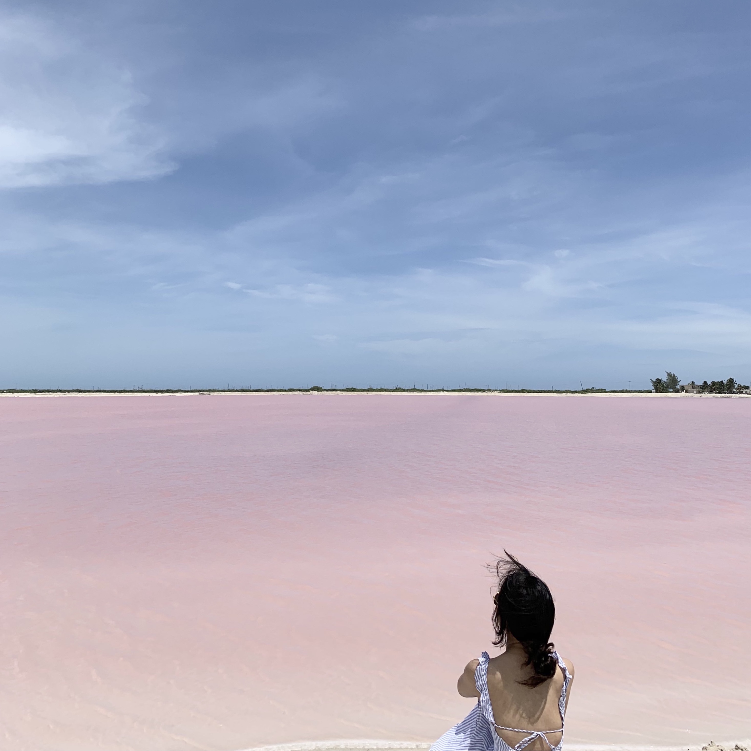 catislove (@moredignity) 님의 게시물 | KREAM