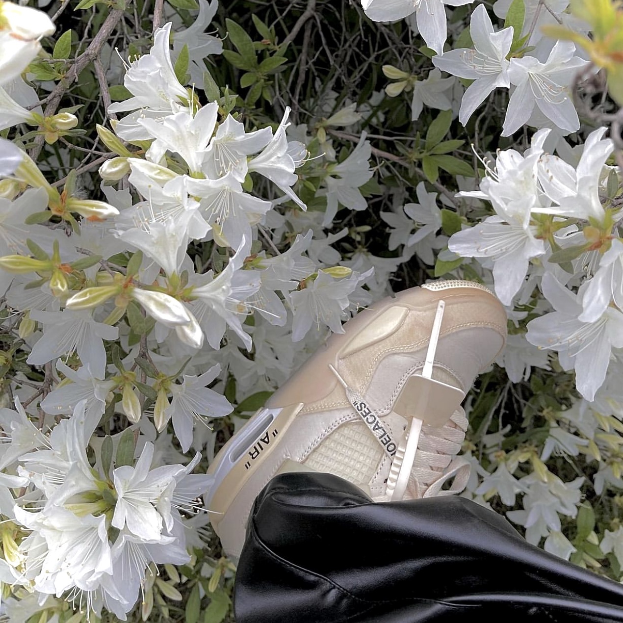 류현 (@ryu_hyeon) 님의 게시물 | KREAM