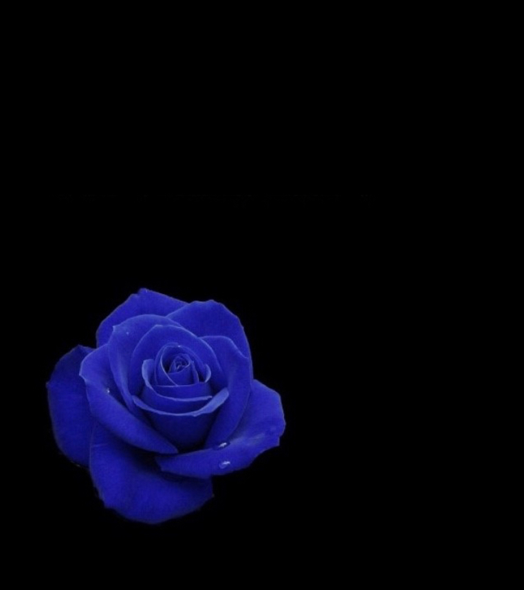 dncl (@pu9cbh) 님의 게시물 | KREAM