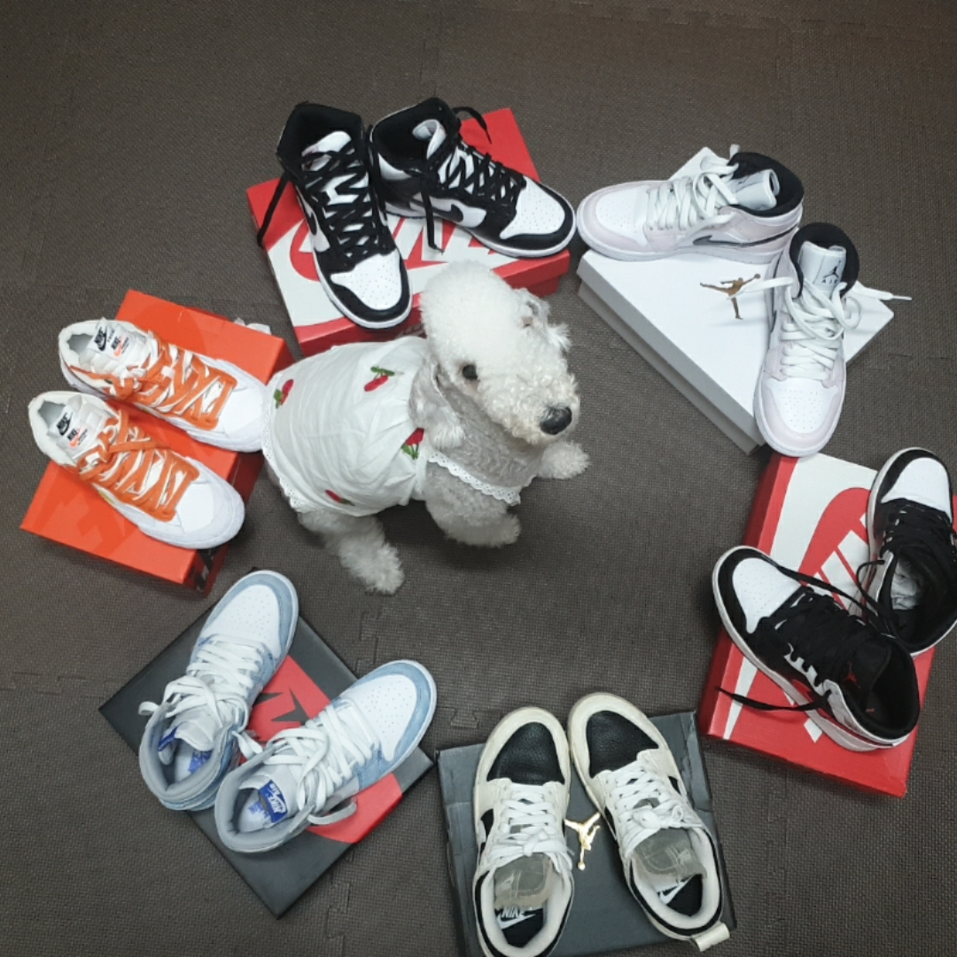 정짱 (@jung_ee) 님의 게시물 | KREAM