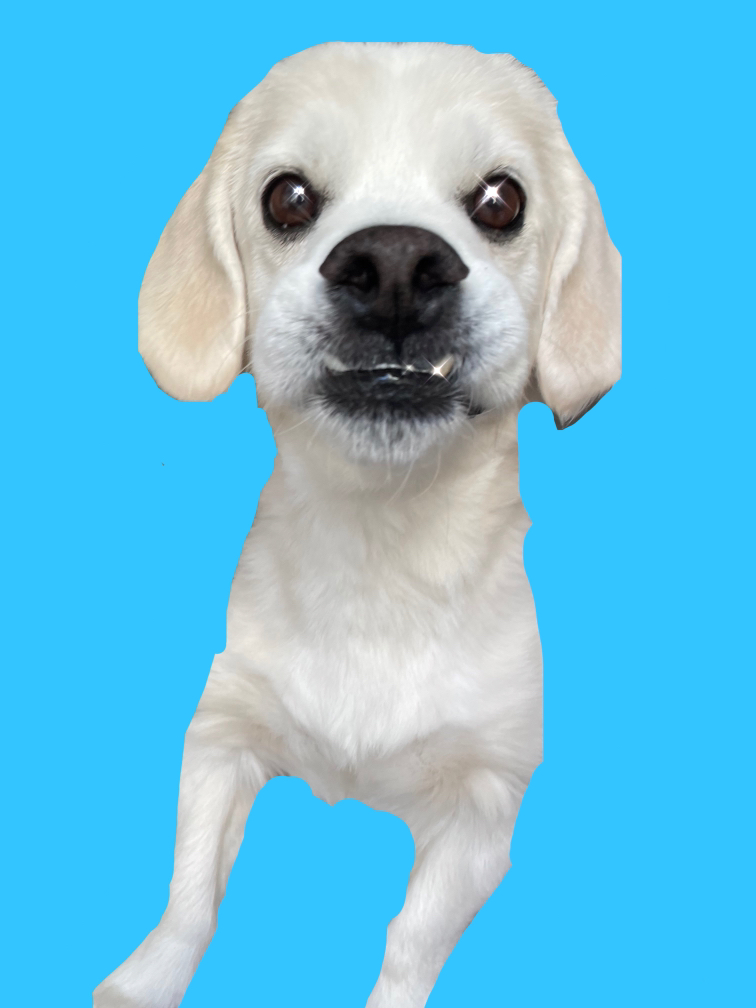 수혀닝 (@hazzi_sh) 님의 게시물 | KREAM