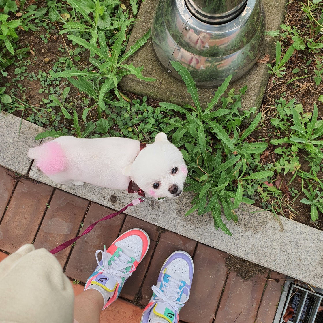 탱구리 (@kimtaeng__) 님의 게시물 | KREAM