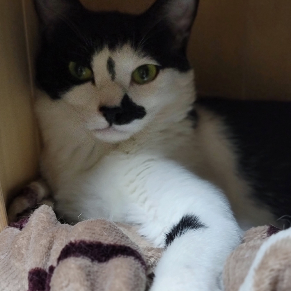 쎈놈 (@thor_choi) 님의 게시물 | KREAM