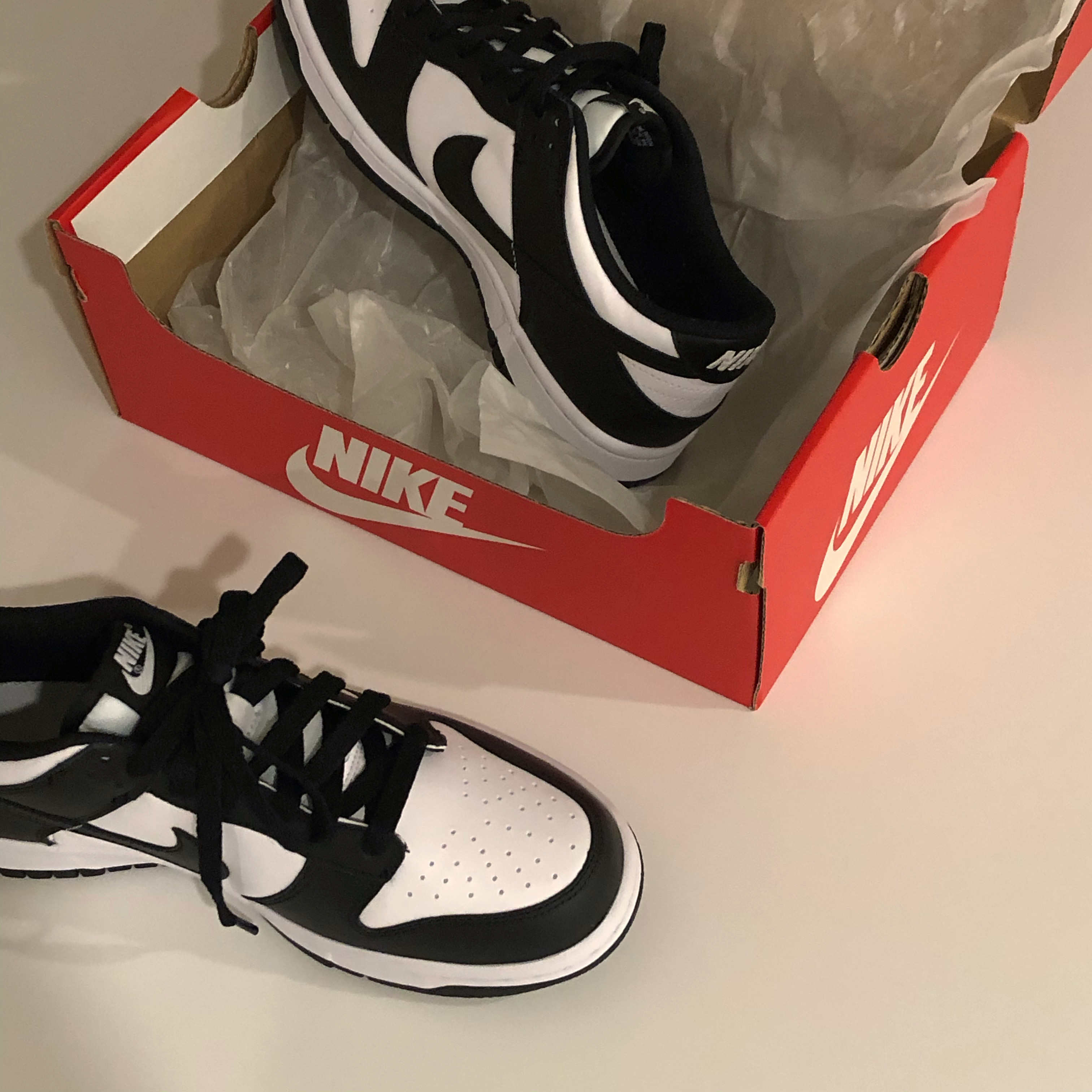 공룡 (@happy.sy) 님의 게시물 | KREAM