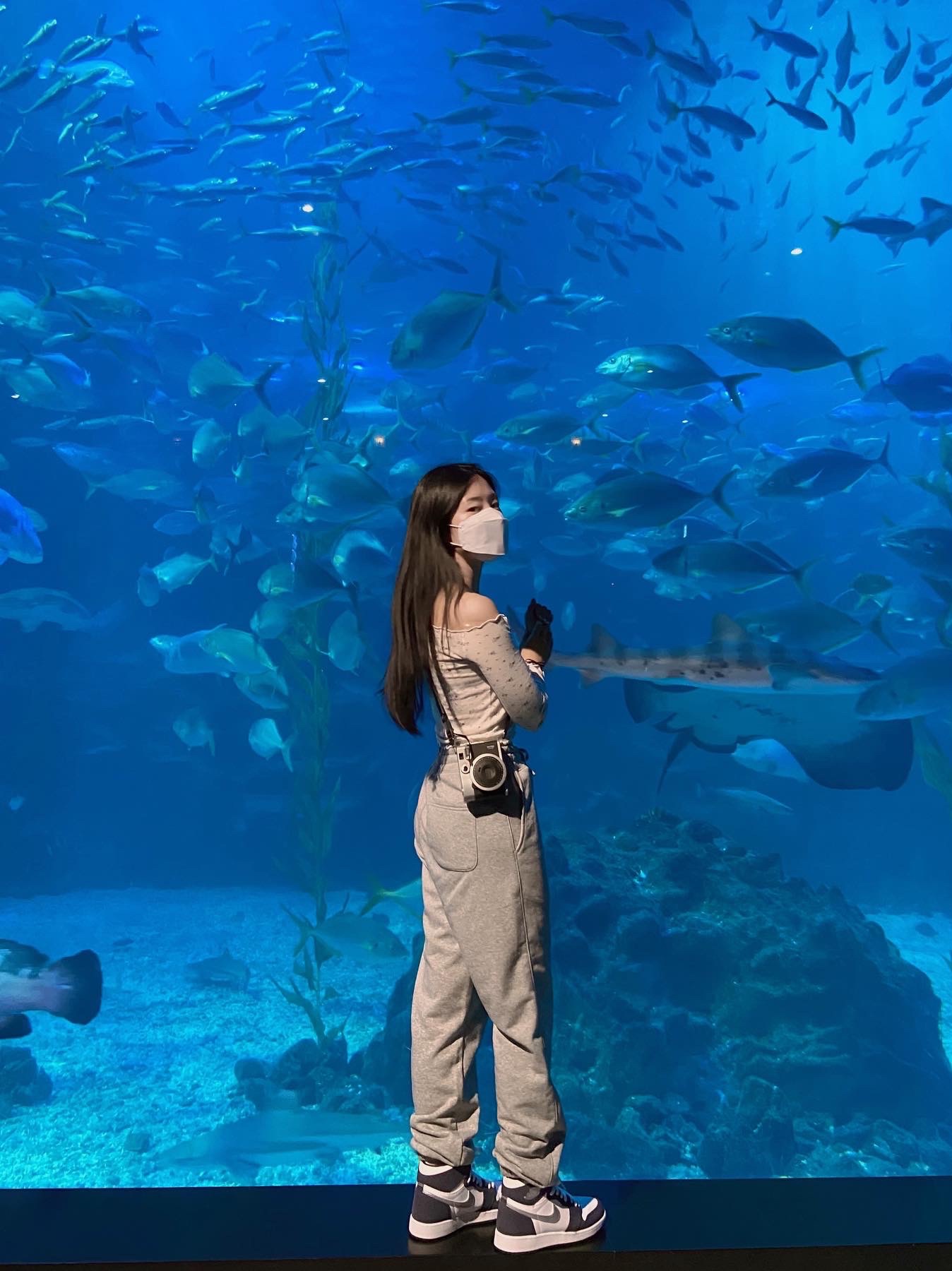 정원 (@gadening) 님의 게시물 | KREAM