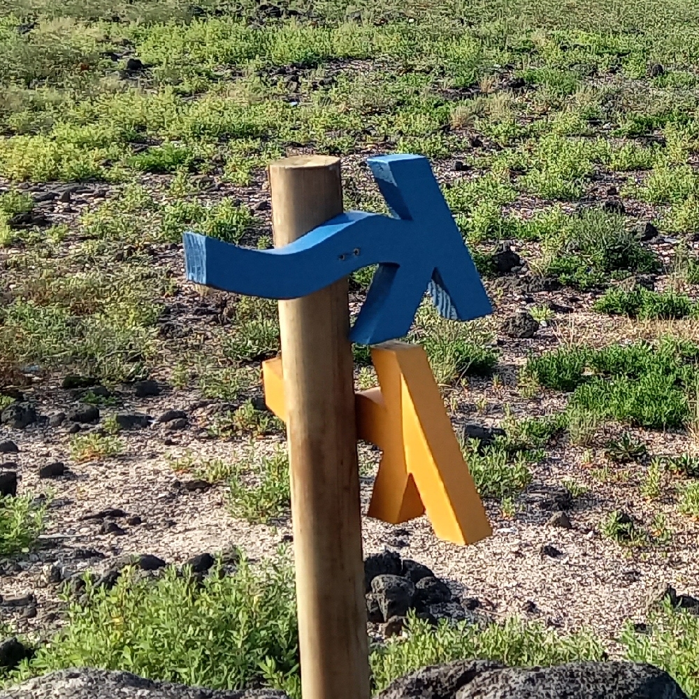 김상덕 (@j_woong) 님의 게시물 | KREAM