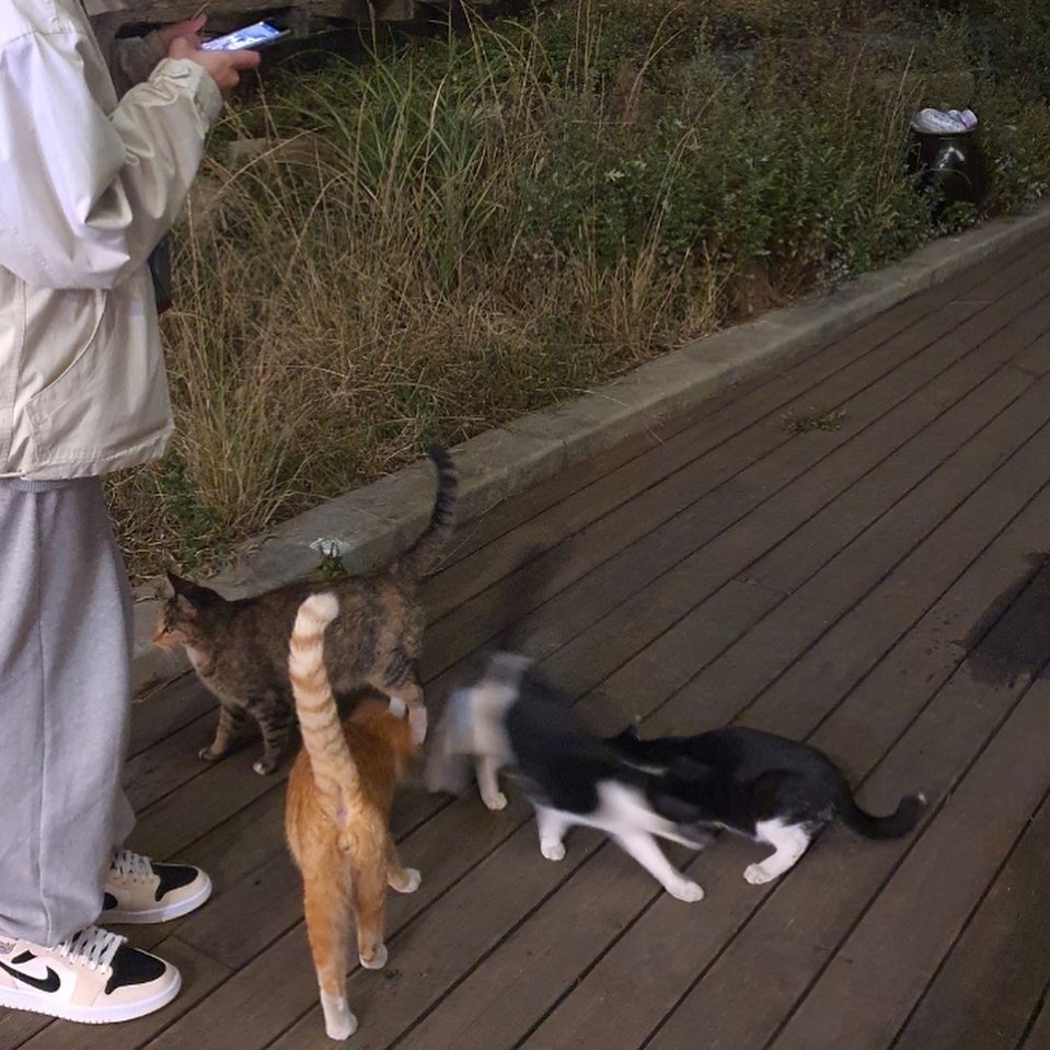 랑만 (@raangman) 님의 게시물 | KREAM