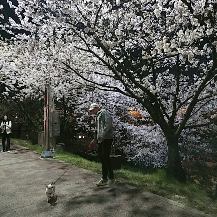 김문수 (@nikeeeeeee) 님의 게시물 | KREAM