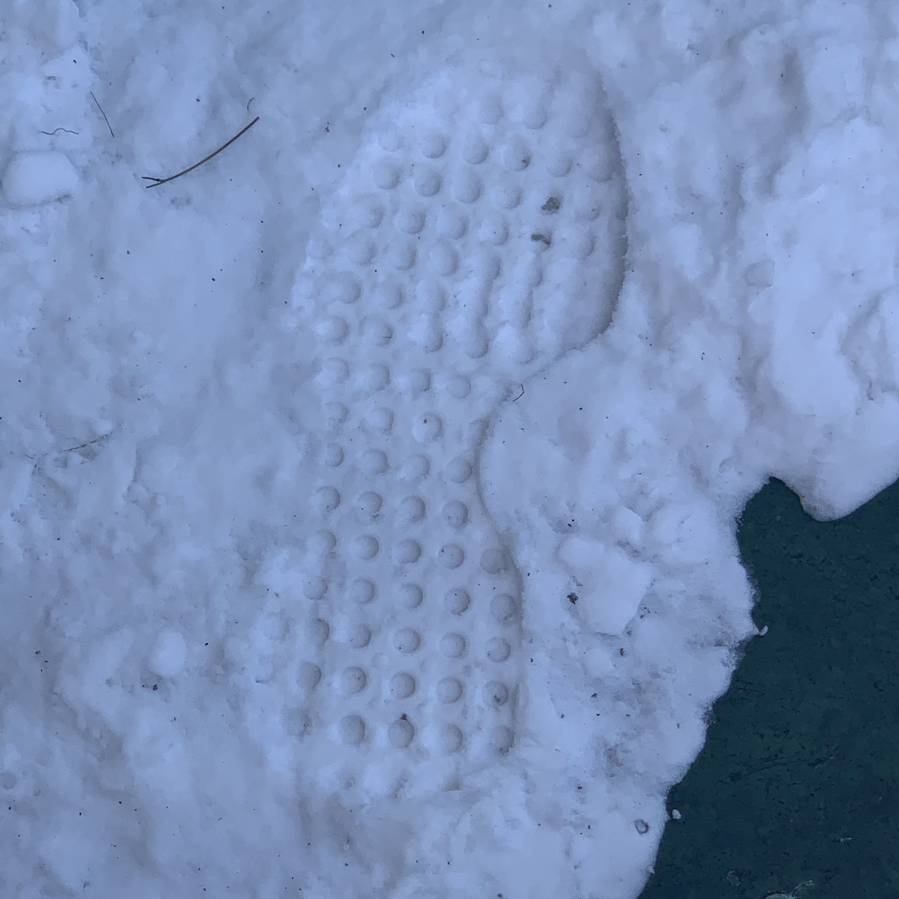 @le__hyunh2 (@snkrs_lhh) 님의 게시물 | KREAM