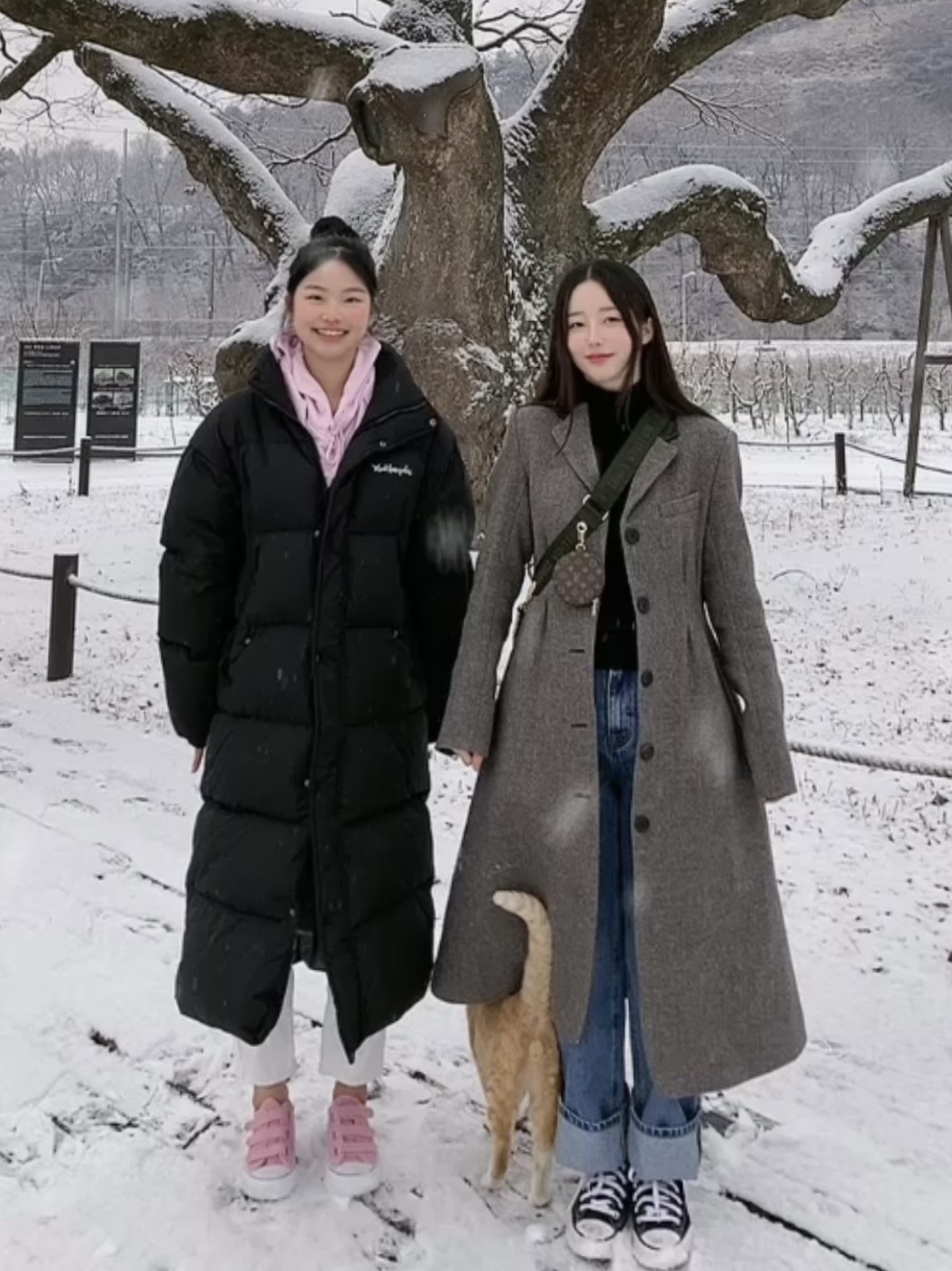 롱보드지니 (@longboardji...) 님의 게시물 | KREAM