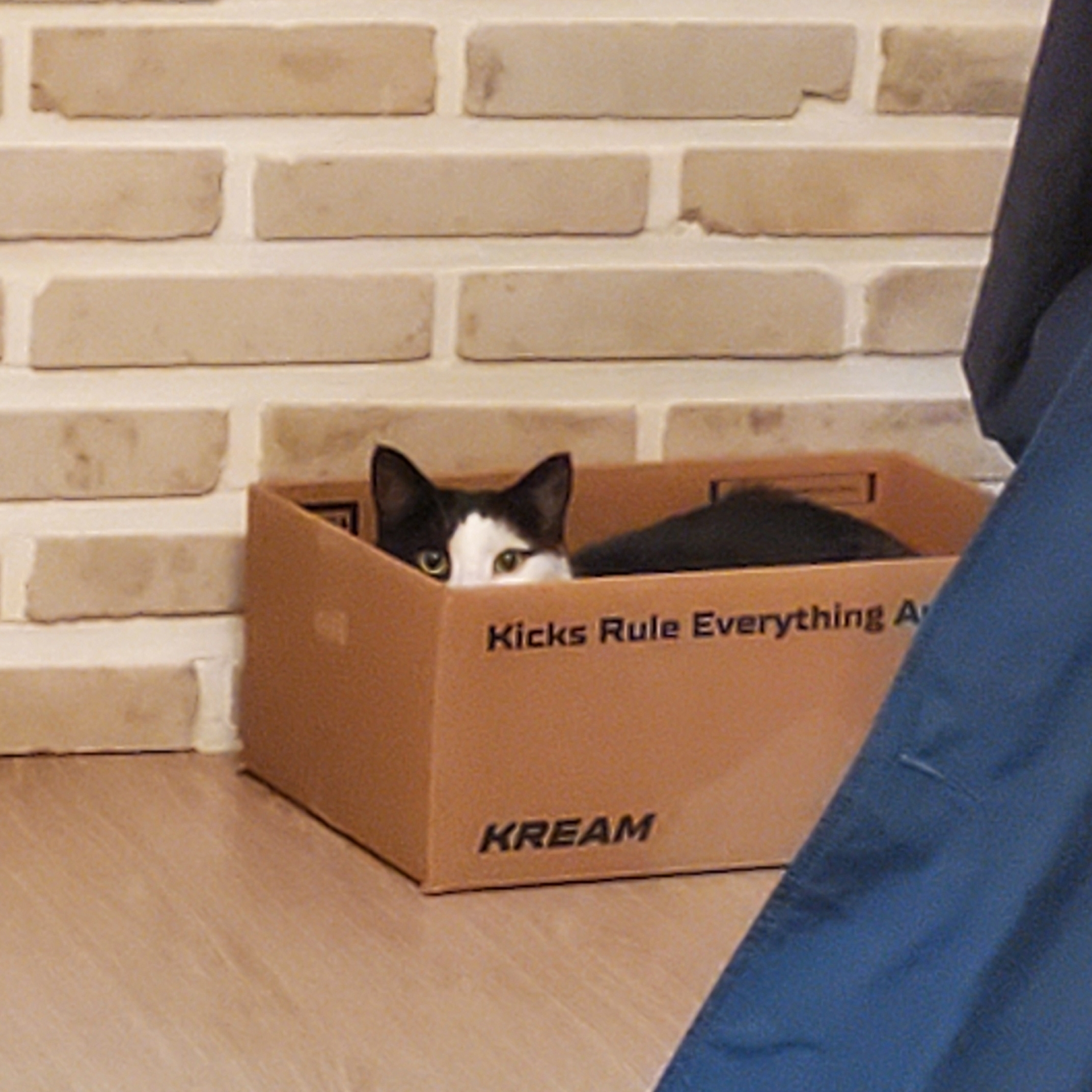 herokc (@ka_no) 님의 게시물 | KREAM