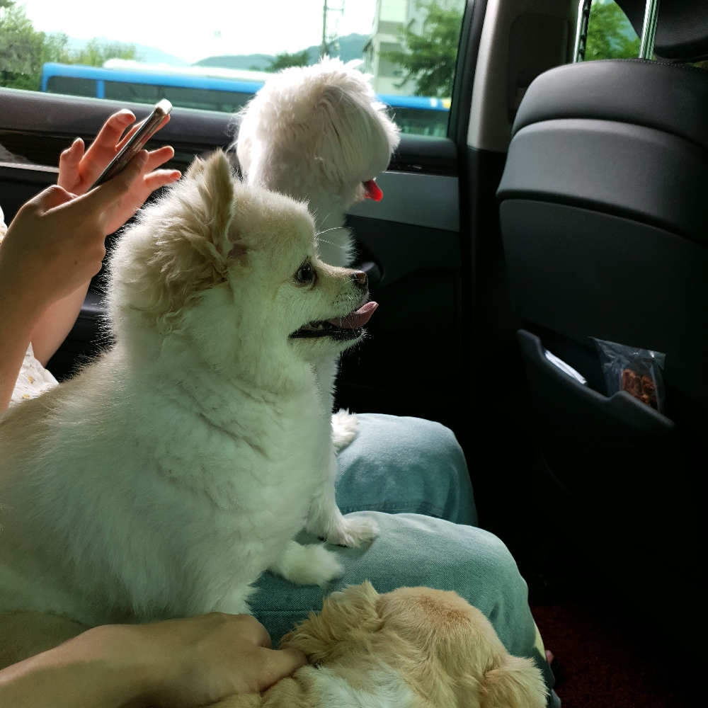 EHEH (@taetae96) 님의 게시물 | KREAM