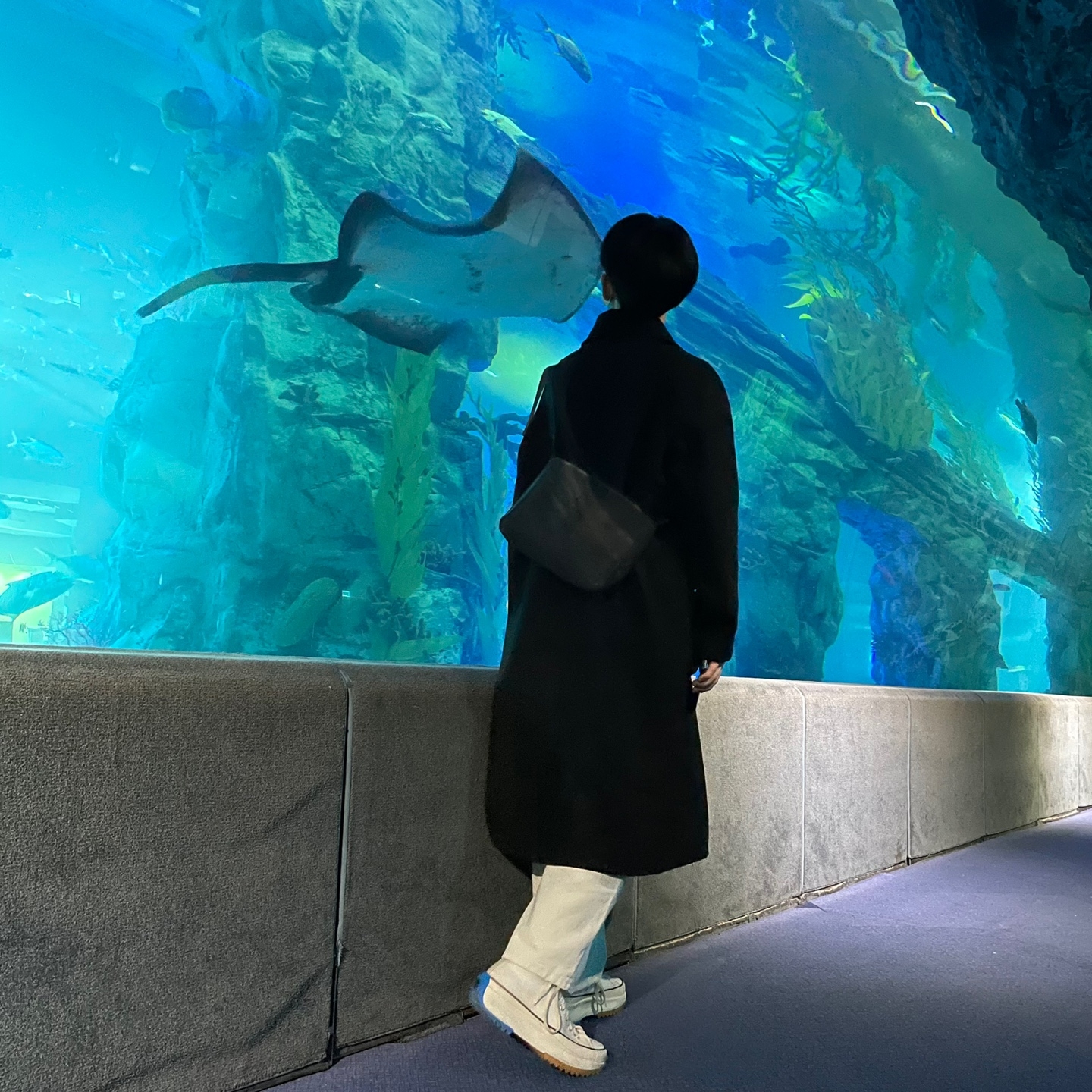 Js (@zi_seo_bi) 님의 게시물 | KREAM