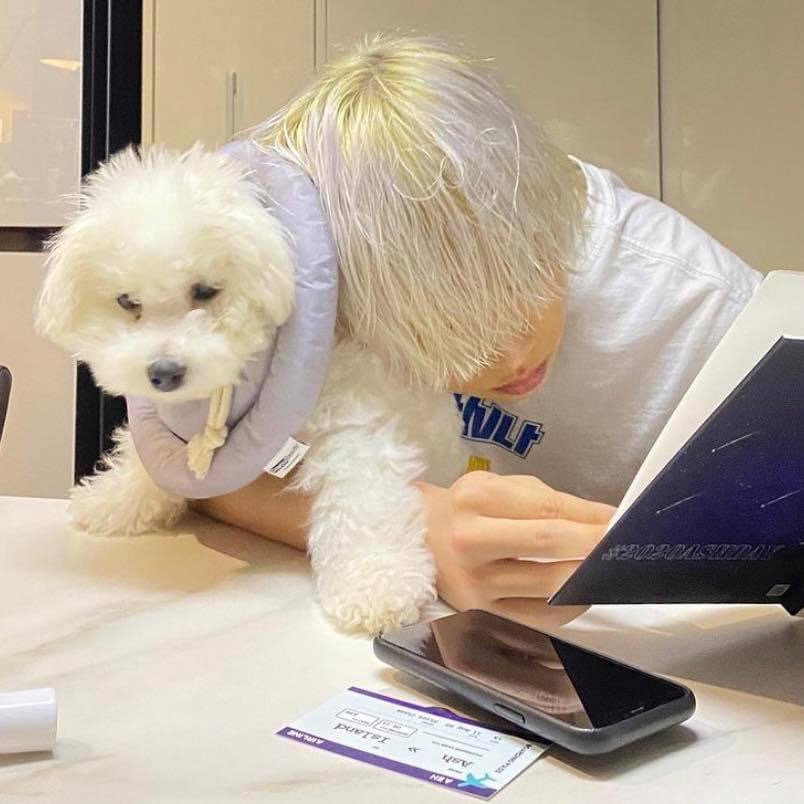 환이 (@ash.xxn_) 님의 게시물 | KREAM