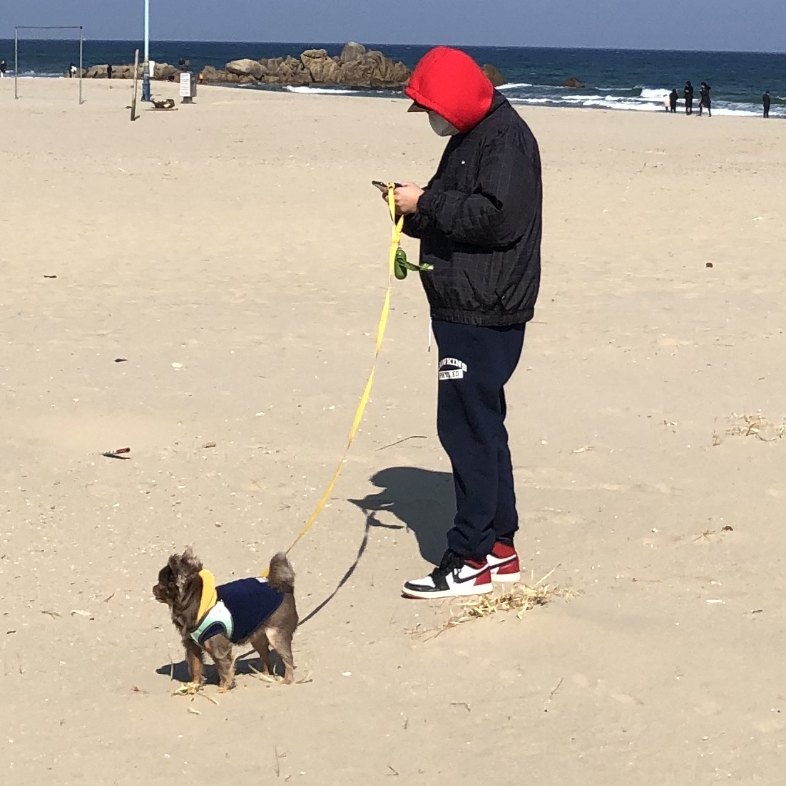 시너지 (@sheenergy) 님의 게시물 | KREAM