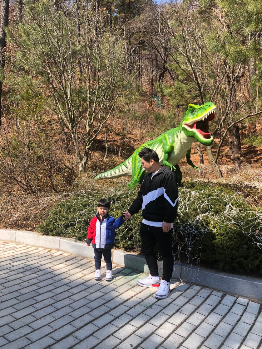 (TD) Jordan 3 Retro H... STYLE | KREAM