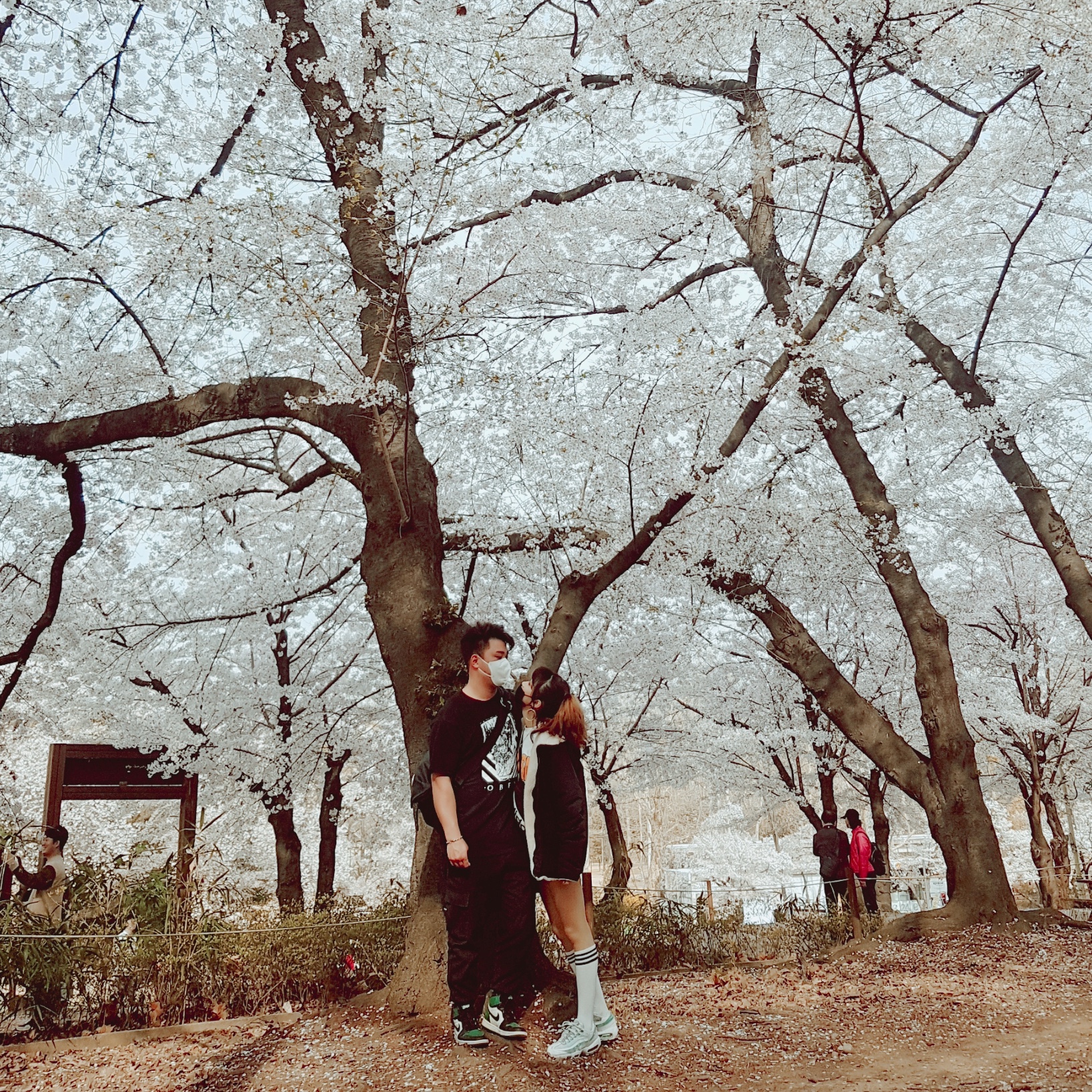 장희인 (@sipp35) 님의 게시물 | KREAM