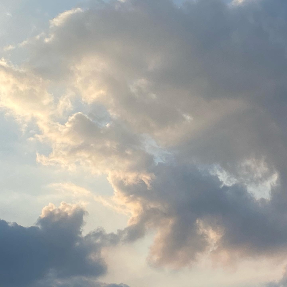 junheouk123 (@jun_hyuk) 님의 게시물 | KREAM