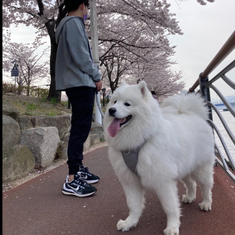 난바 (@osaka) 님의 게시물 | KREAM