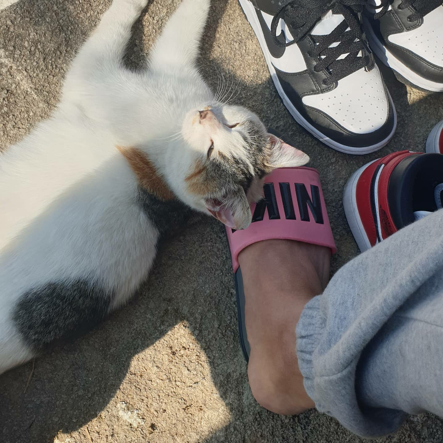 Pak jong_cheol_ (@for4time) 님의 게시물 | KREAM