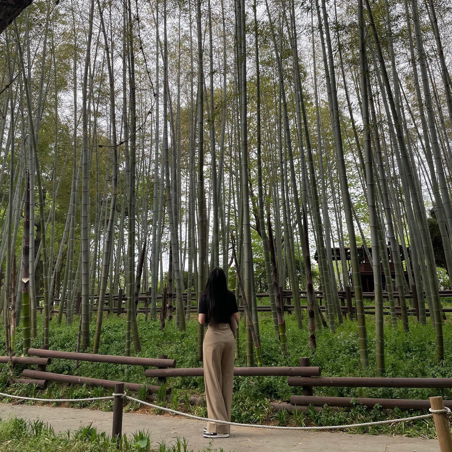 (@1.228km) 님의 게시물 | KREAM