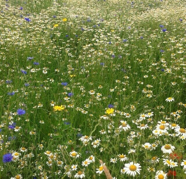 (@you__na) 님의 게시물 | KREAM