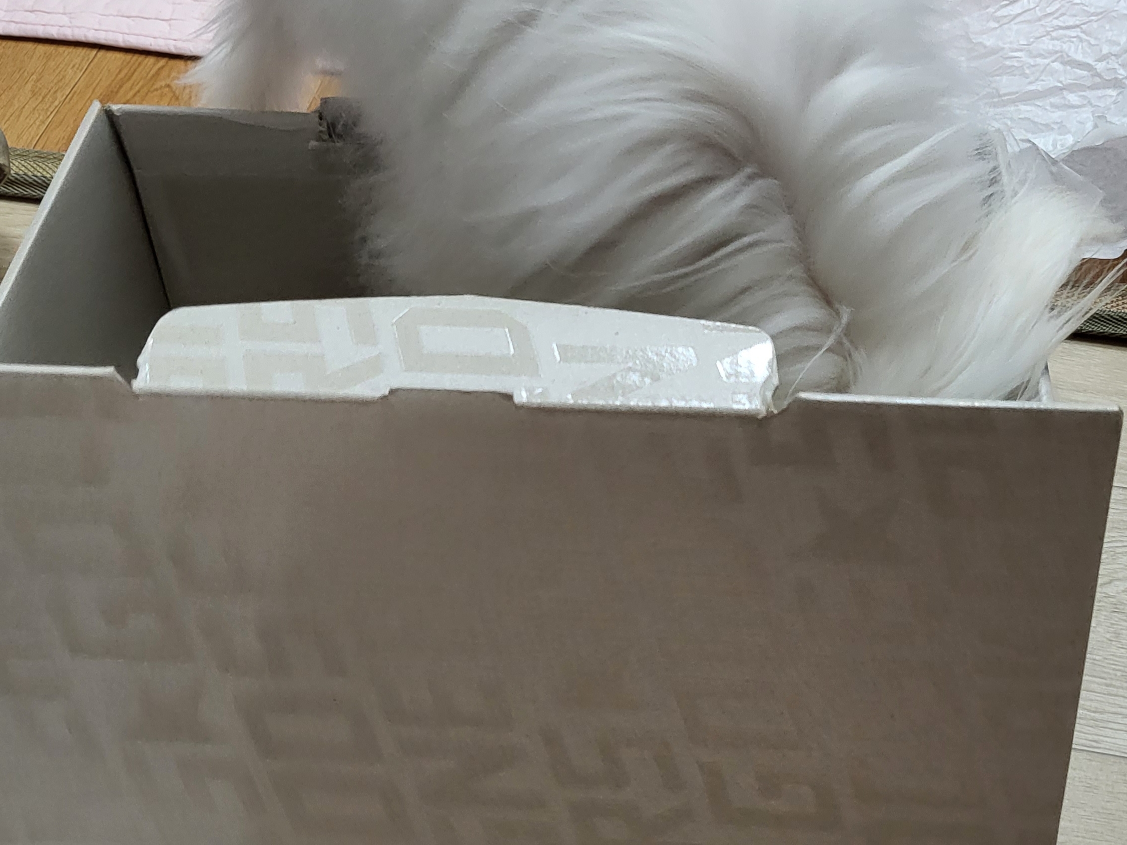 TRACO (@traco) 님의 게시물 | KREAM