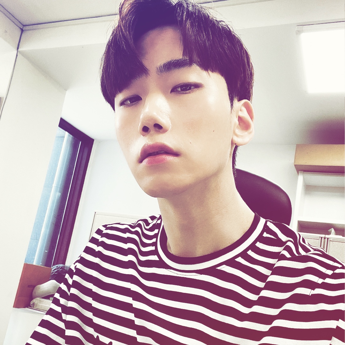 바크맨 (@ssapdog) 님의 게시물 | KREAM