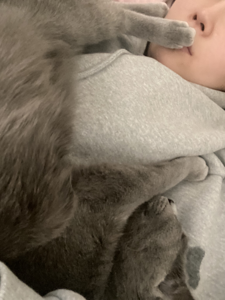 rlaalswk2046 (@soybean9) 님의 게시물 | KREAM