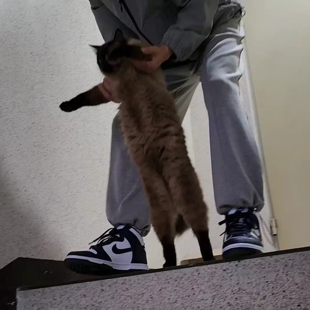 🌙 (@asdfghj) 님의 게시물 | KREAM