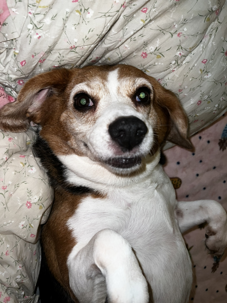 min (@min_style) 님의 게시물 | KREAM