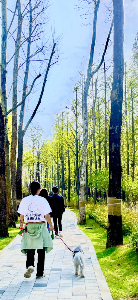 rb5165 (@__sakarin__) 님의 게시물 | KREAM